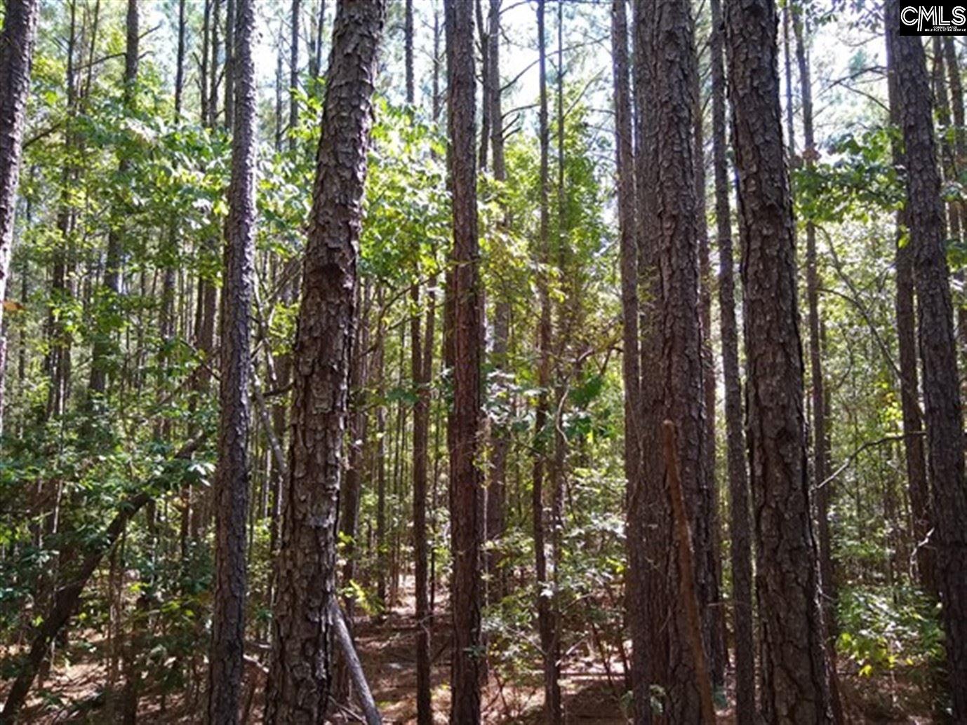 0 Long View Road, Cross Hill, SC 29332