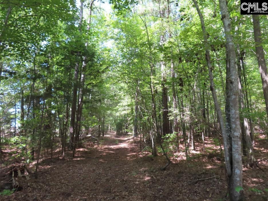 Little Mountain SC Real Estate - Holy Trinity Church Road Little ...