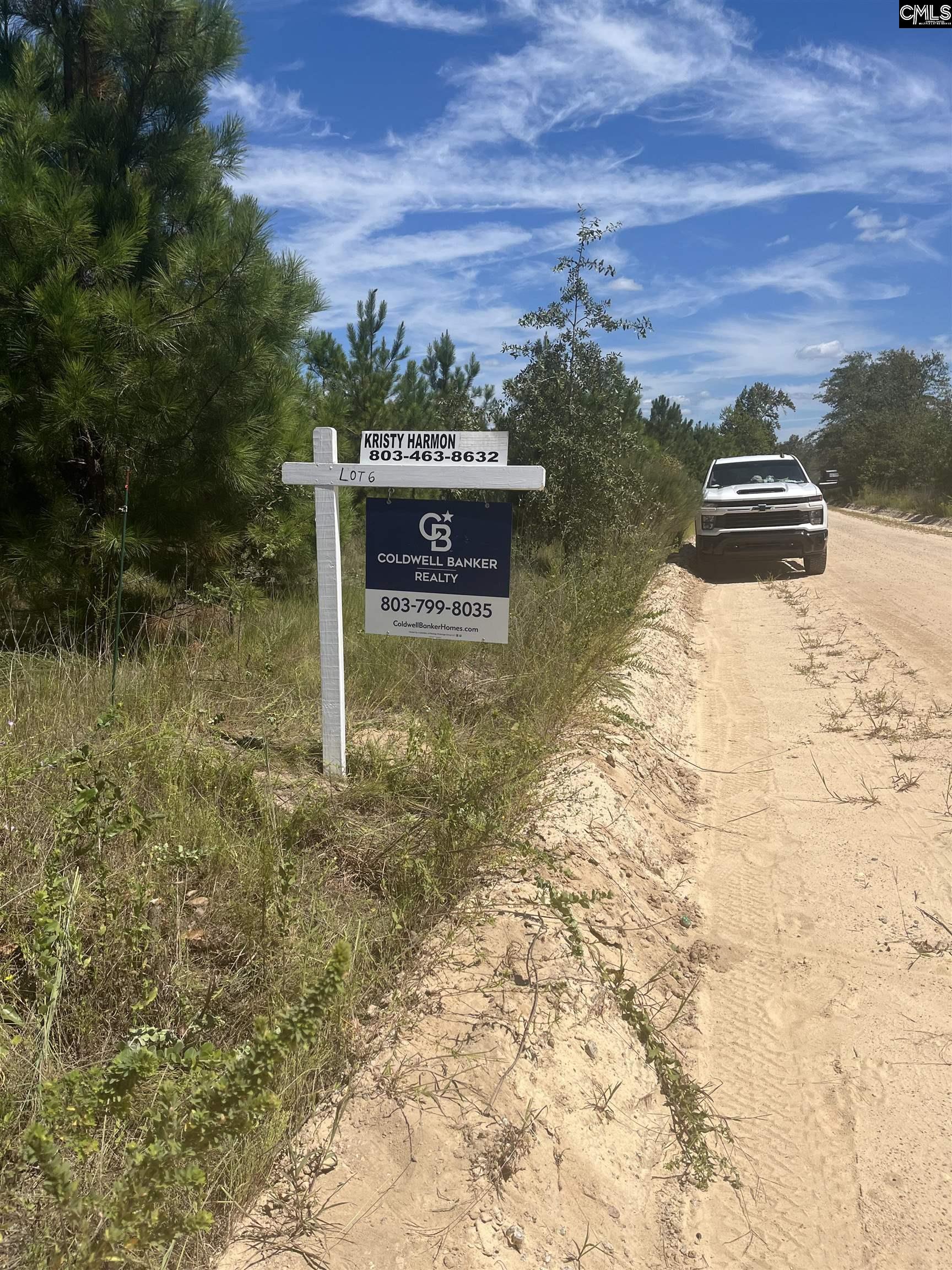 3099 Arcadia Road, Bethune, SC 29009 MLS #616627 | James Schiller Team