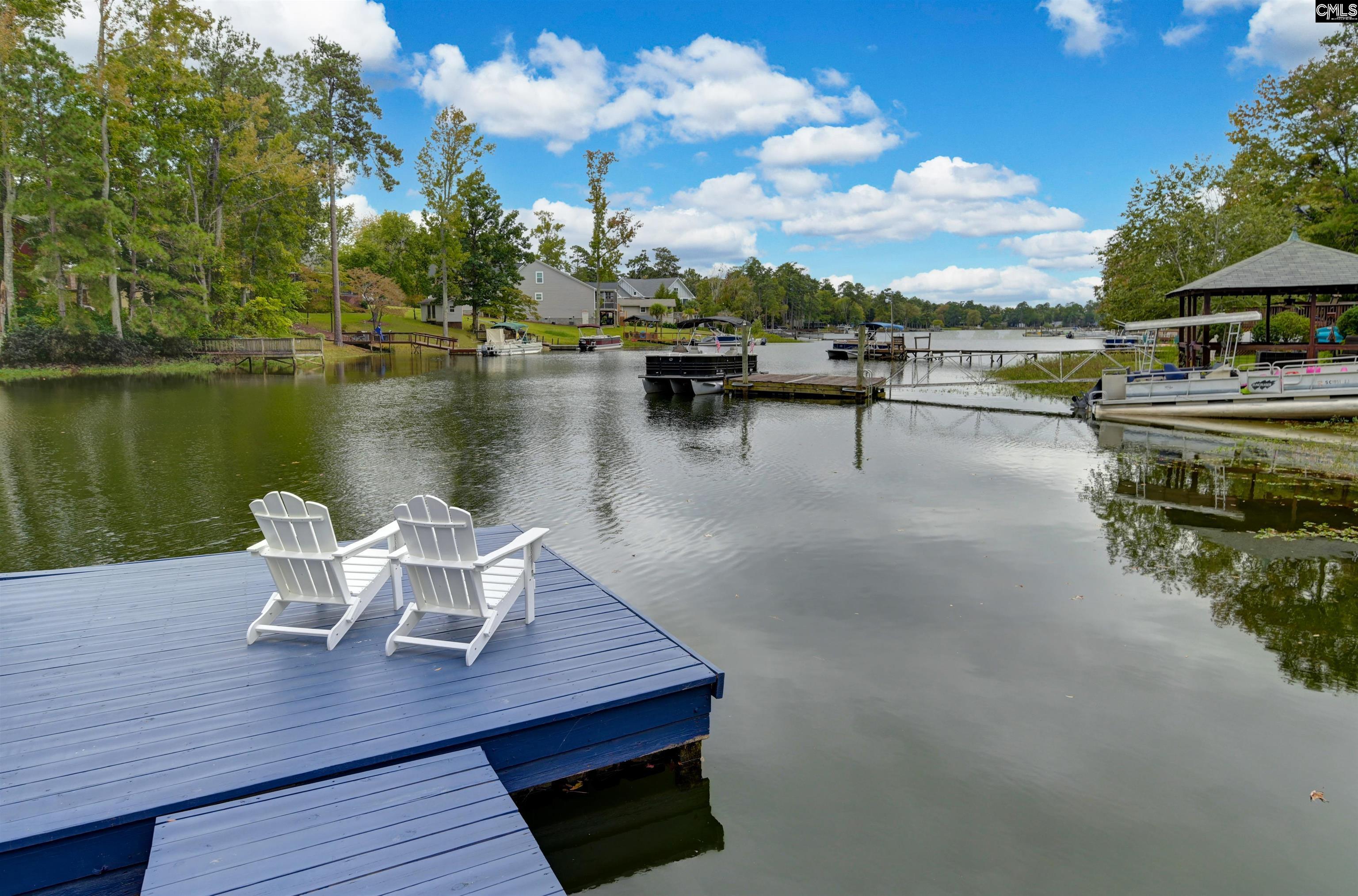 117 Bogater Road, Chapin, South Carolina for $1,280,000