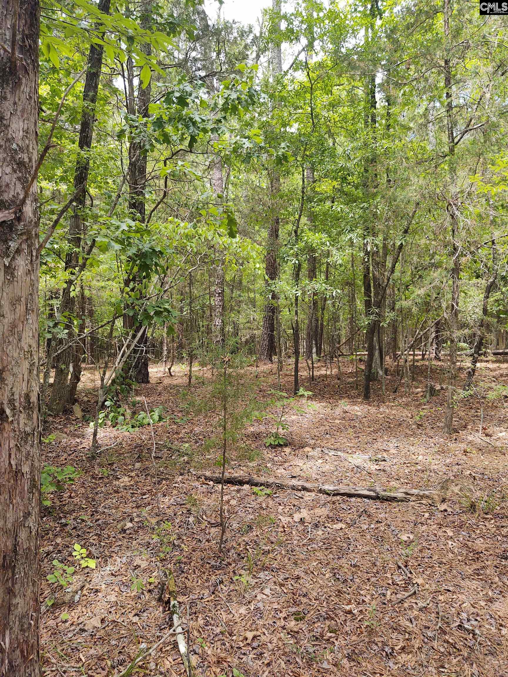 1109 Hopewell Church Road, Irmo, SC 29063 MLS #624854 | James Schiller Team