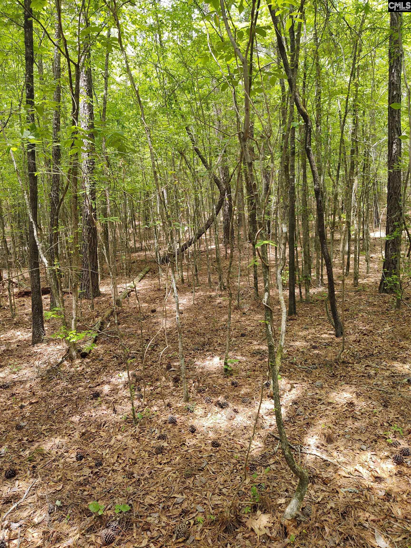 1109 Hopewell Church Road, Irmo, SC 29063 MLS #624854 | James Schiller Team