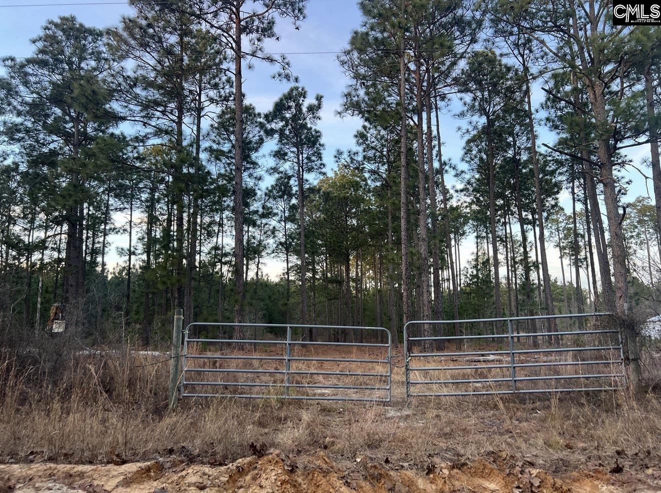 1420 Martin Smith Road, Gilbert, SC 29070 MLS #625143 | James Schiller Team