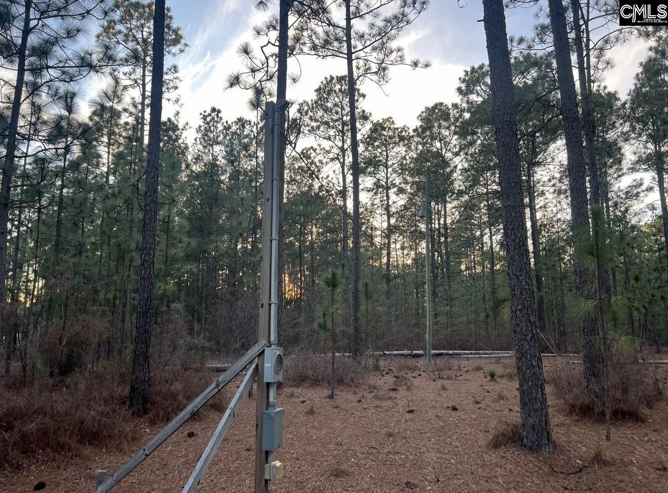 1420 Martin Smith Road, Gilbert, SC 29070 MLS #625143 | James Schiller Team