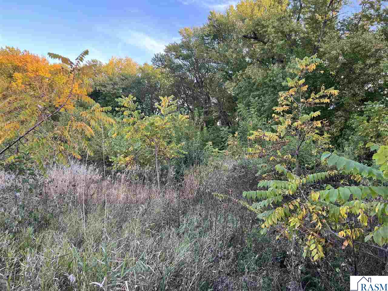 Parcel ID: 055100030, St. James, MN 56081 | $150,000 | Lots & Land | Active